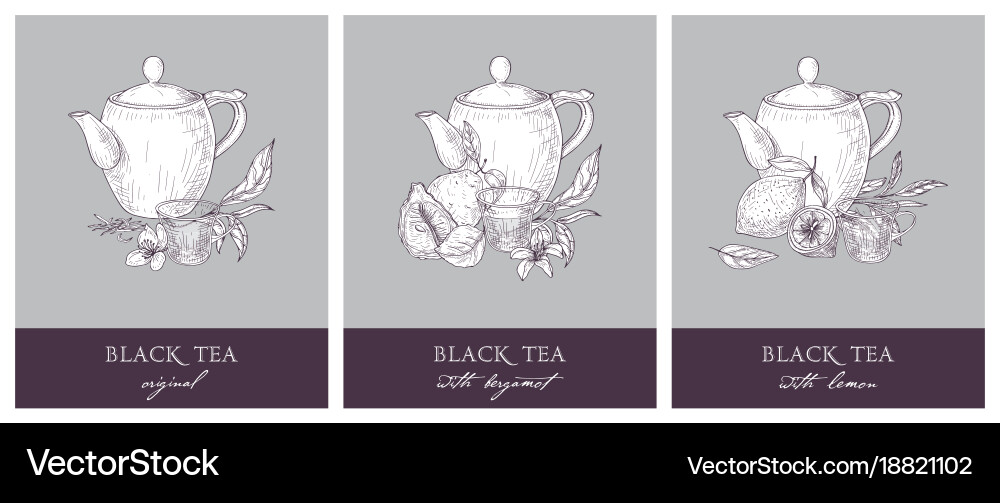Collection beautiful labels with teapot cup Vector Image