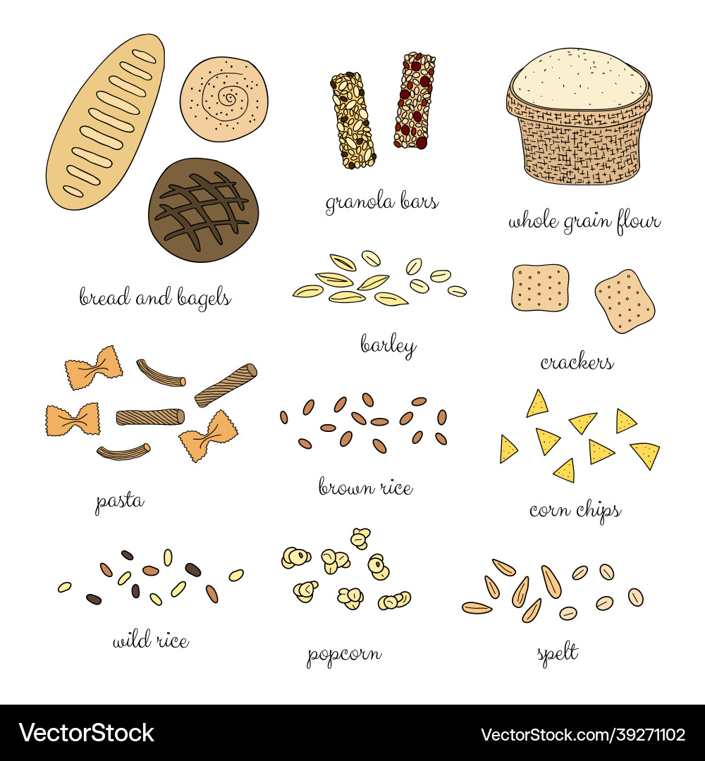 Hand drawn whole grain foods Royalty Free Vector Image