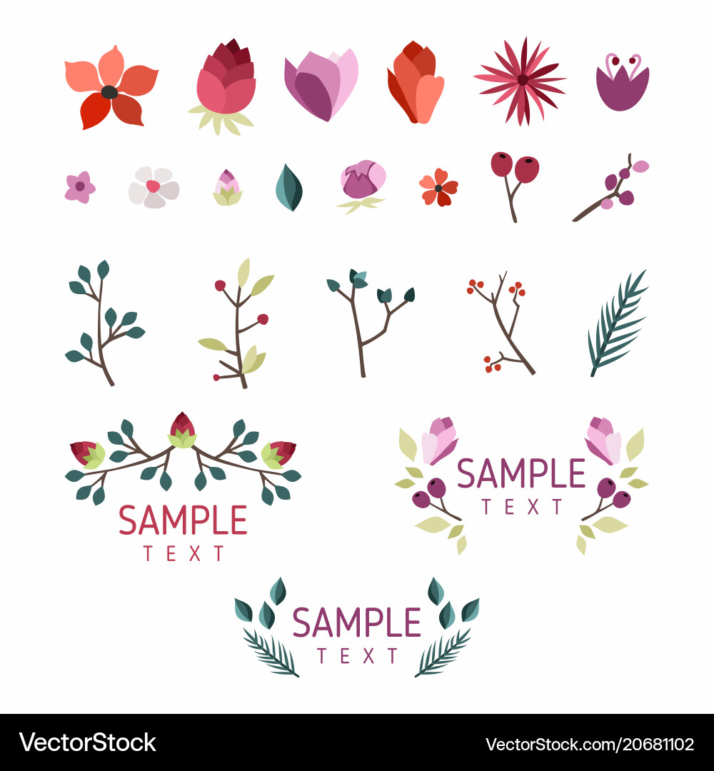 Set of floral design elements collection with Vector Image