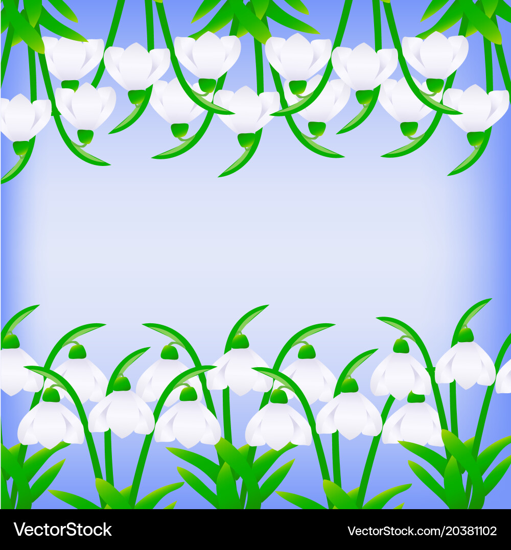 Snowdrops on a blue background Royalty Free Vector Image