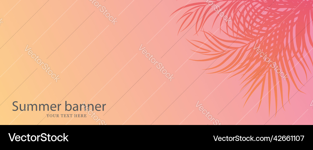 Abstract summer banner design with tropical Vector Image