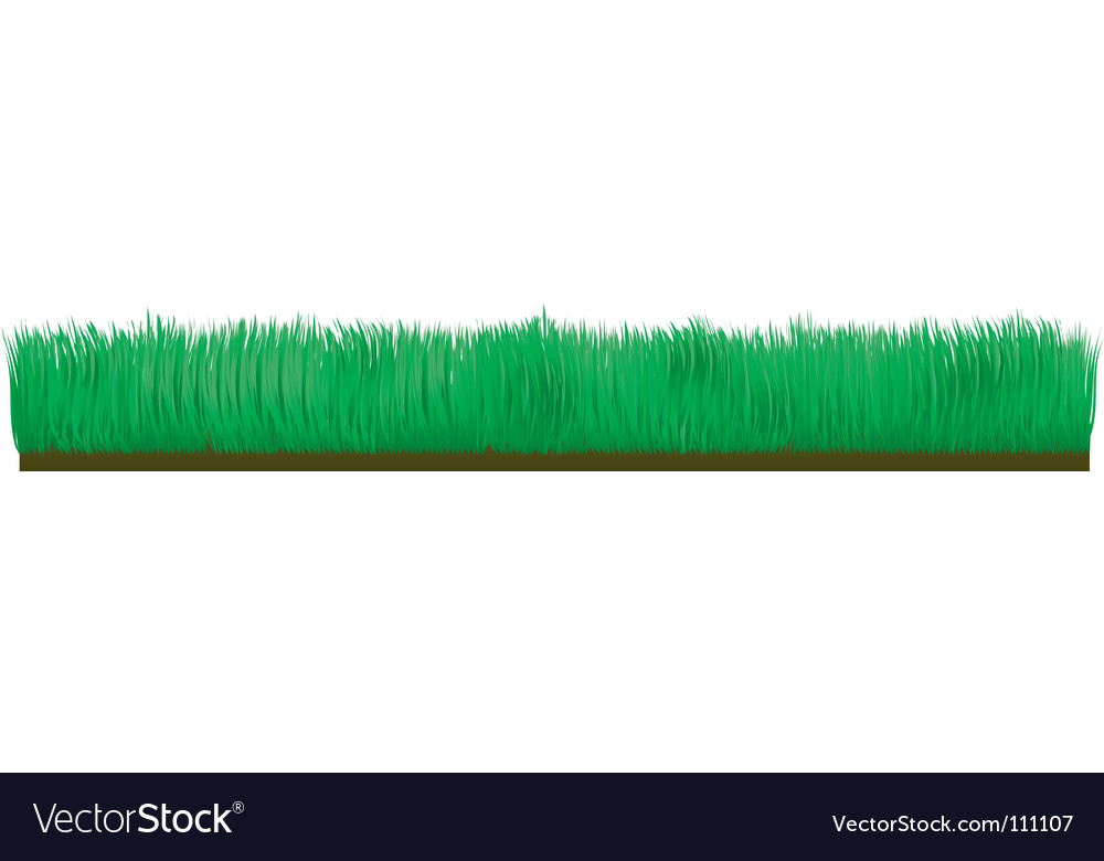 Grass border Royalty Free Vector Image - VectorStock