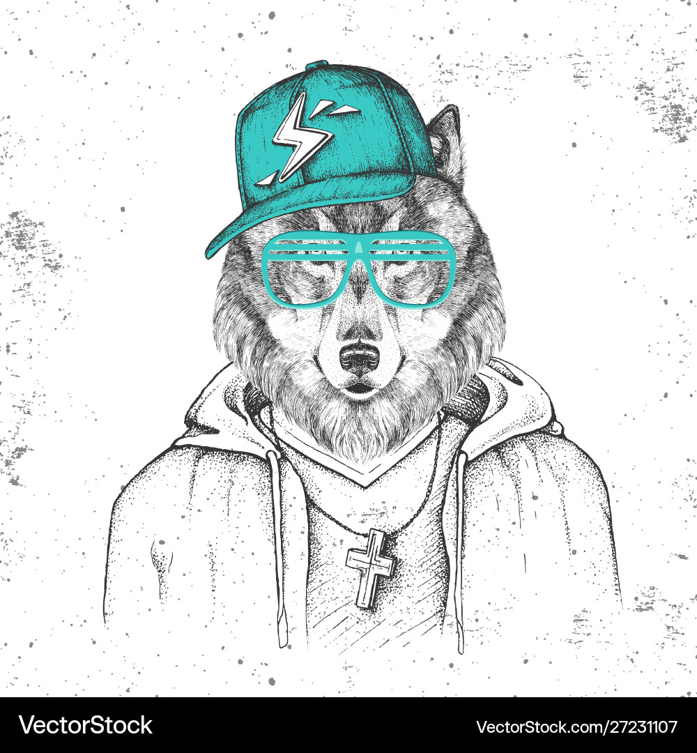 Hipster animal wolf dressed in cap like rapper Vector Image