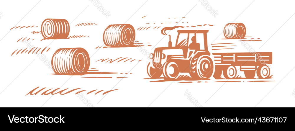 Tractor on field with hay farm theme Royalty Free Vector