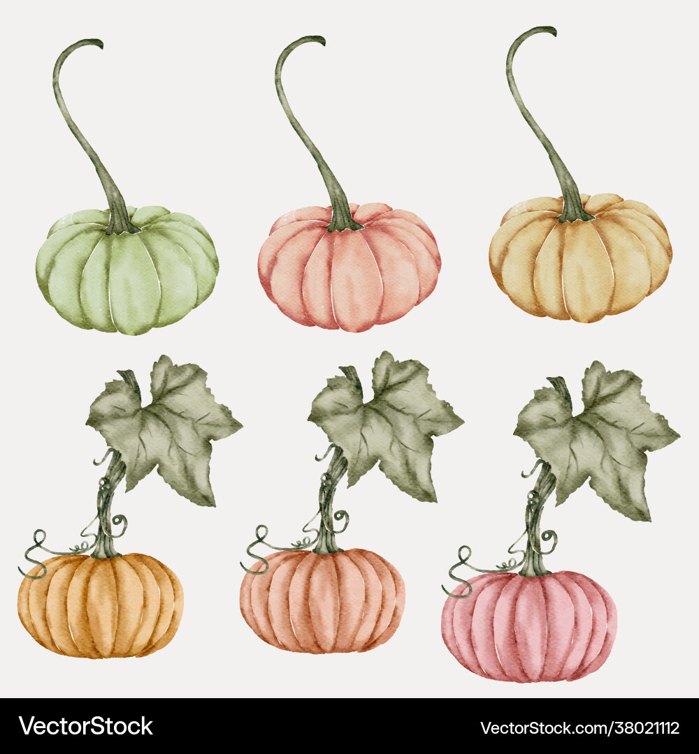 Autumn pumpkin watercolor Royalty Free Vector Image