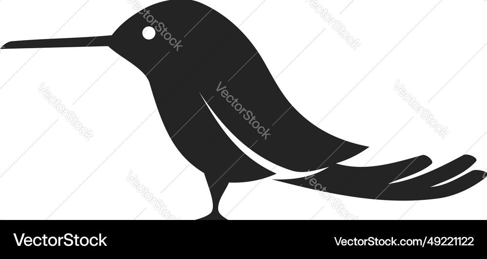 Colibri logo template isolated brand identity Vector Image
