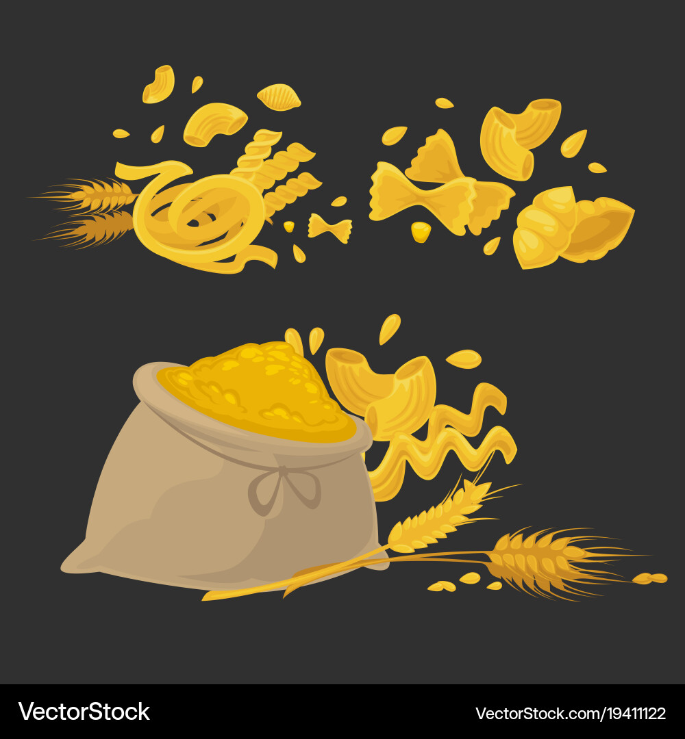 Raw pasta of solid kinds made natural wheat Vector Image