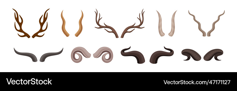 Different horns as pointed bony animal head part Vector Image