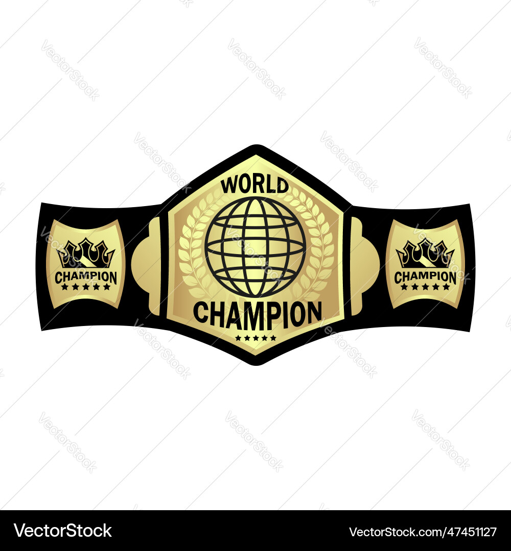 Pattern belt world champion martial arts isolated Vector Image