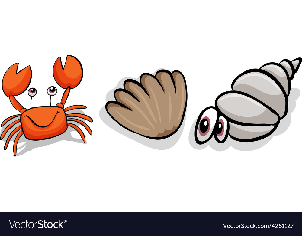 Sea objects Royalty Free Vector Image - VectorStock