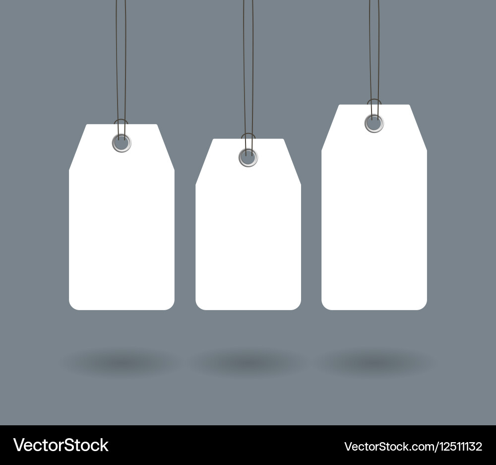 Blank paper label or cloth tag set isolated Vector Image