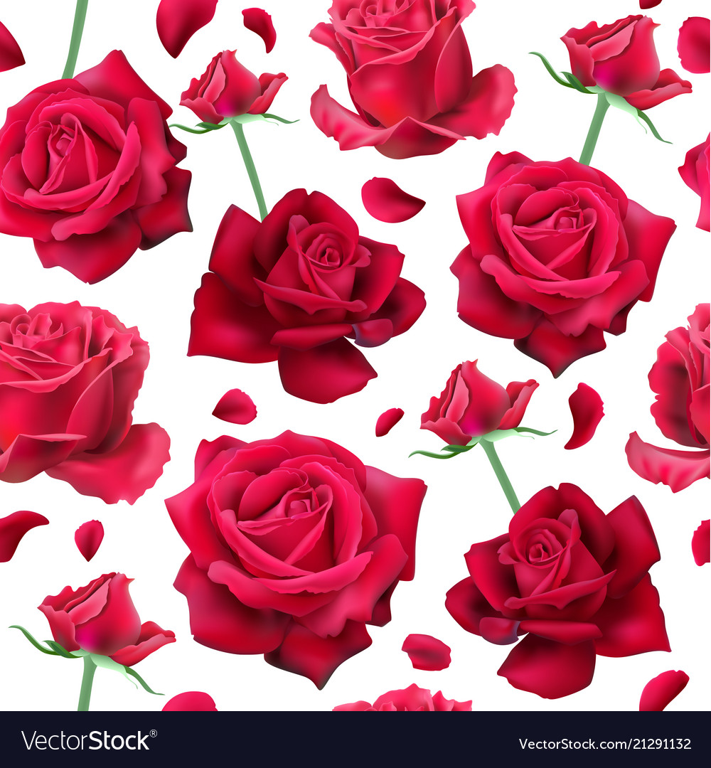 Seamless pattern roses Royalty Free Vector Image