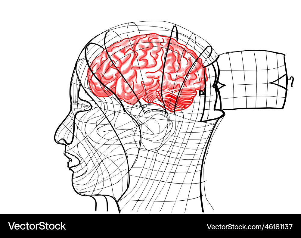 Brain inside Royalty Free Vector Image - VectorStock