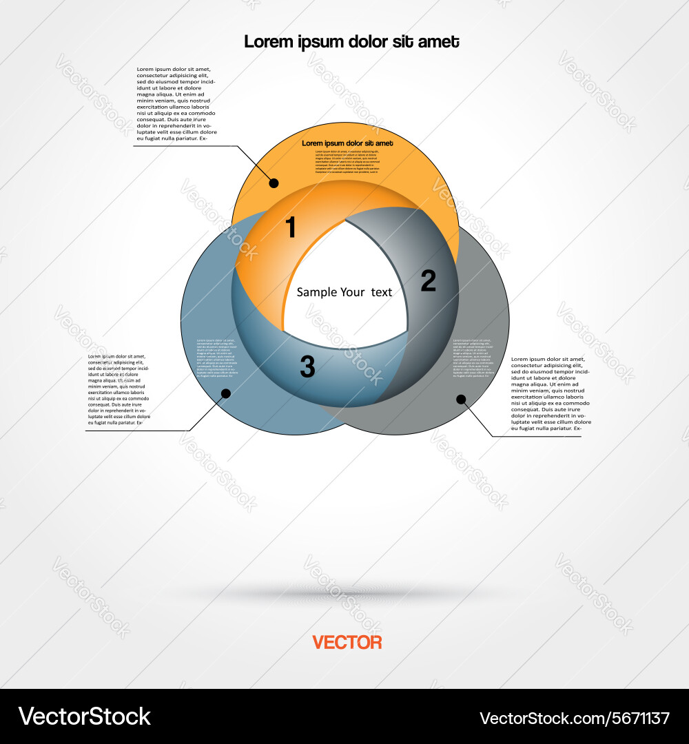 Diagram infographic for business project workflow Vector Image
