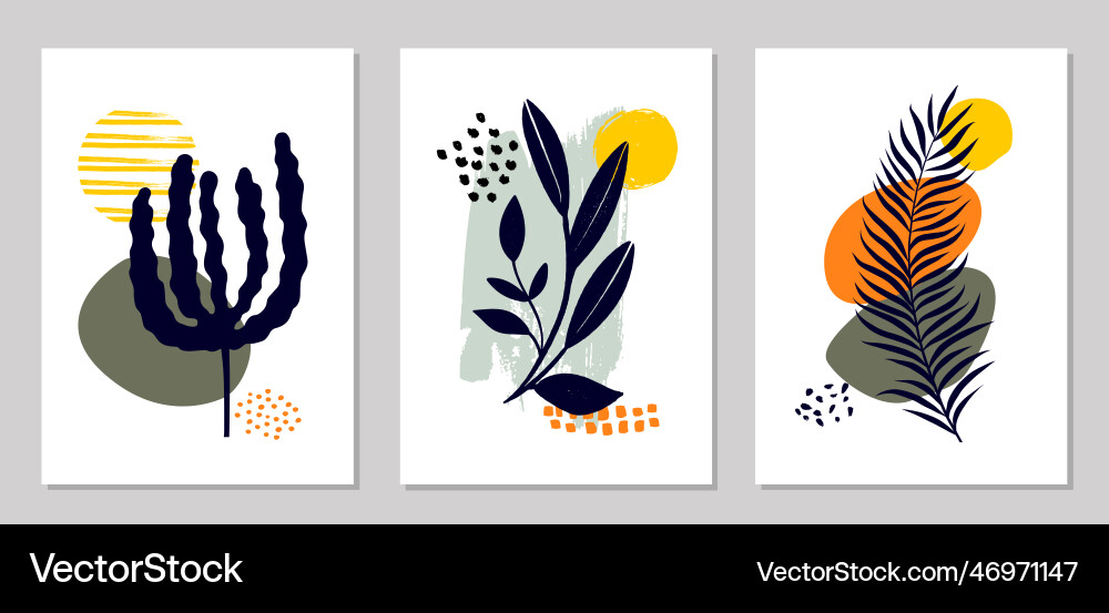Set of floral elements with abstract shapes Vector Image
