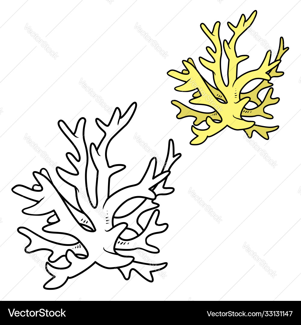 Yellow coral coloring book linear drawing Vector Image
