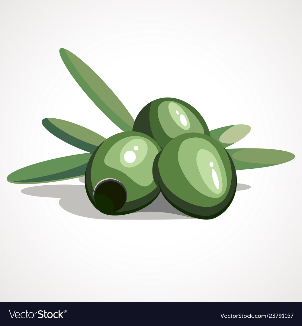 A cartoon of green olives on a bunch Royalty Free Vector A cartoon of green olives on a bunch Royalty Free Vector