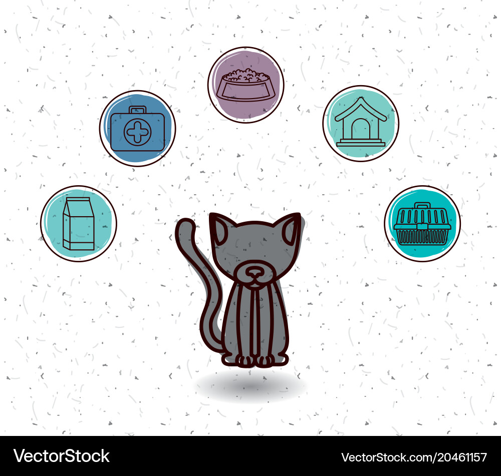 Isolated cat and pet icon set design Royalty Free Vector