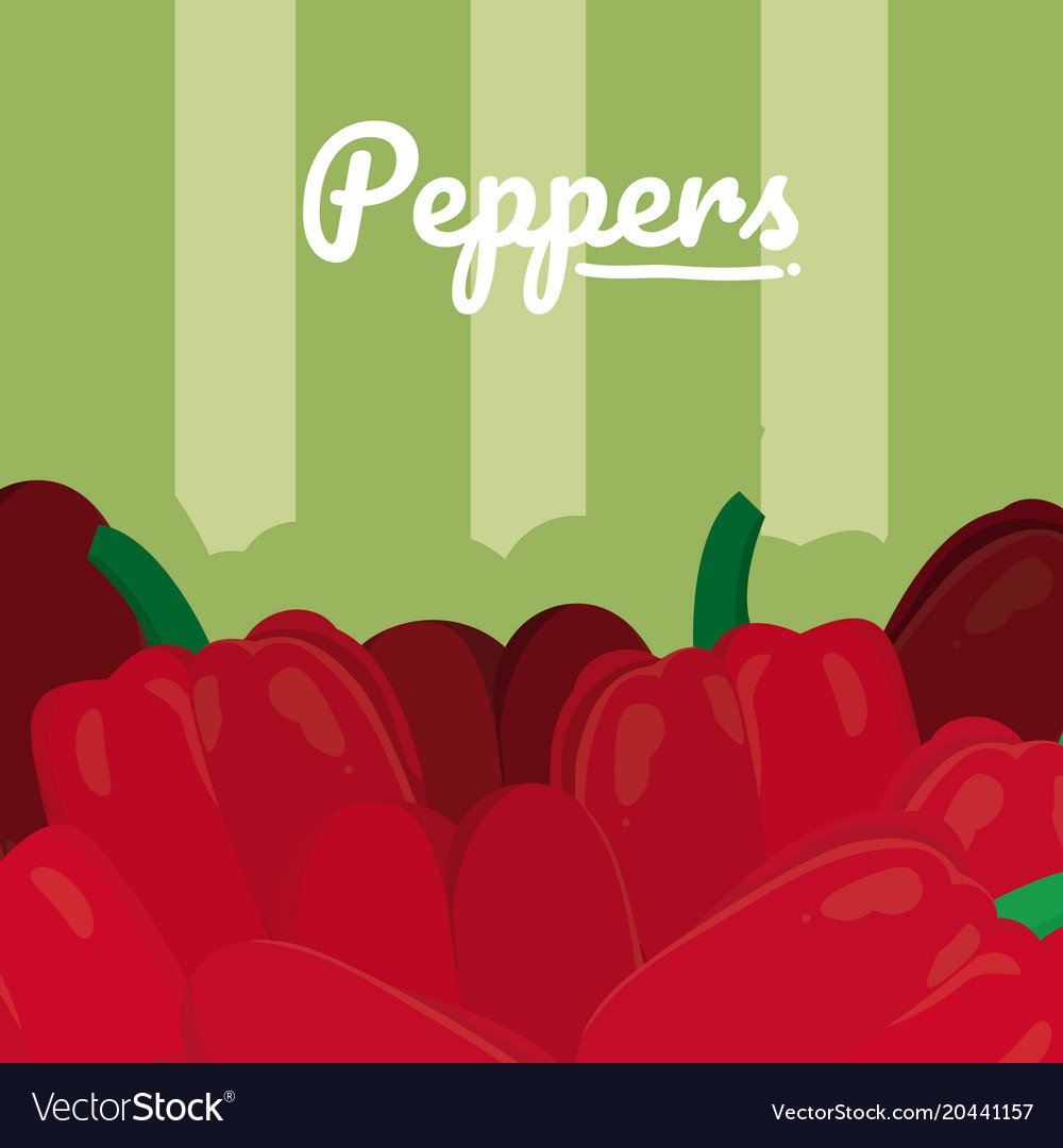 Red pepper vegetable Royalty Free Vector Image