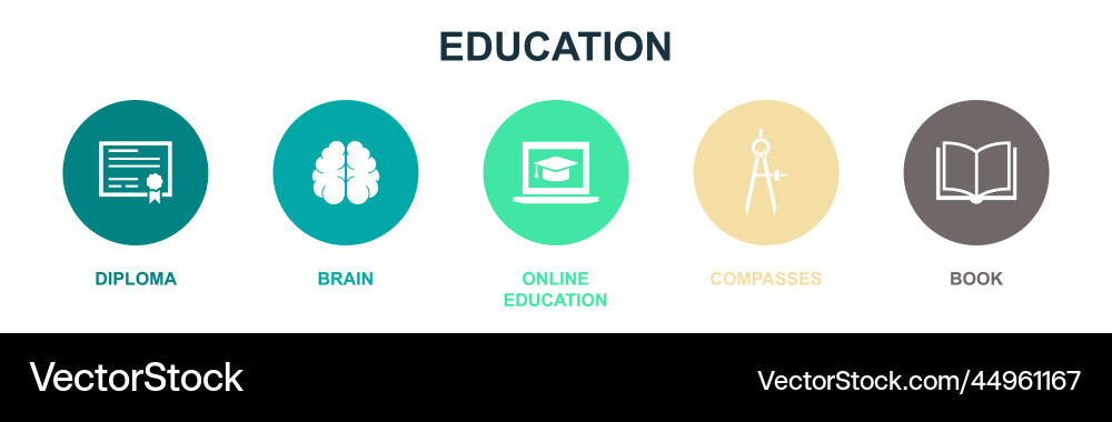 Diploma brain online education compasses book Vector Image