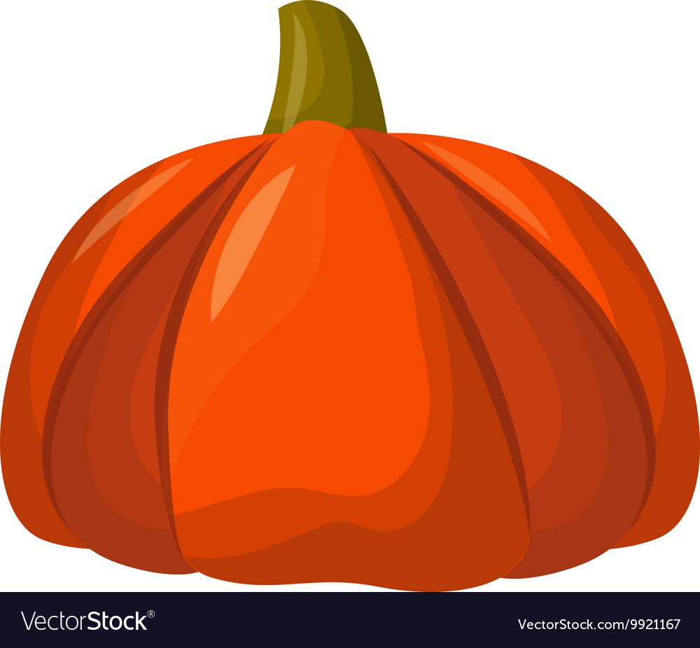 Pumpkin isolated Royalty Free Vector Image - VectorStock