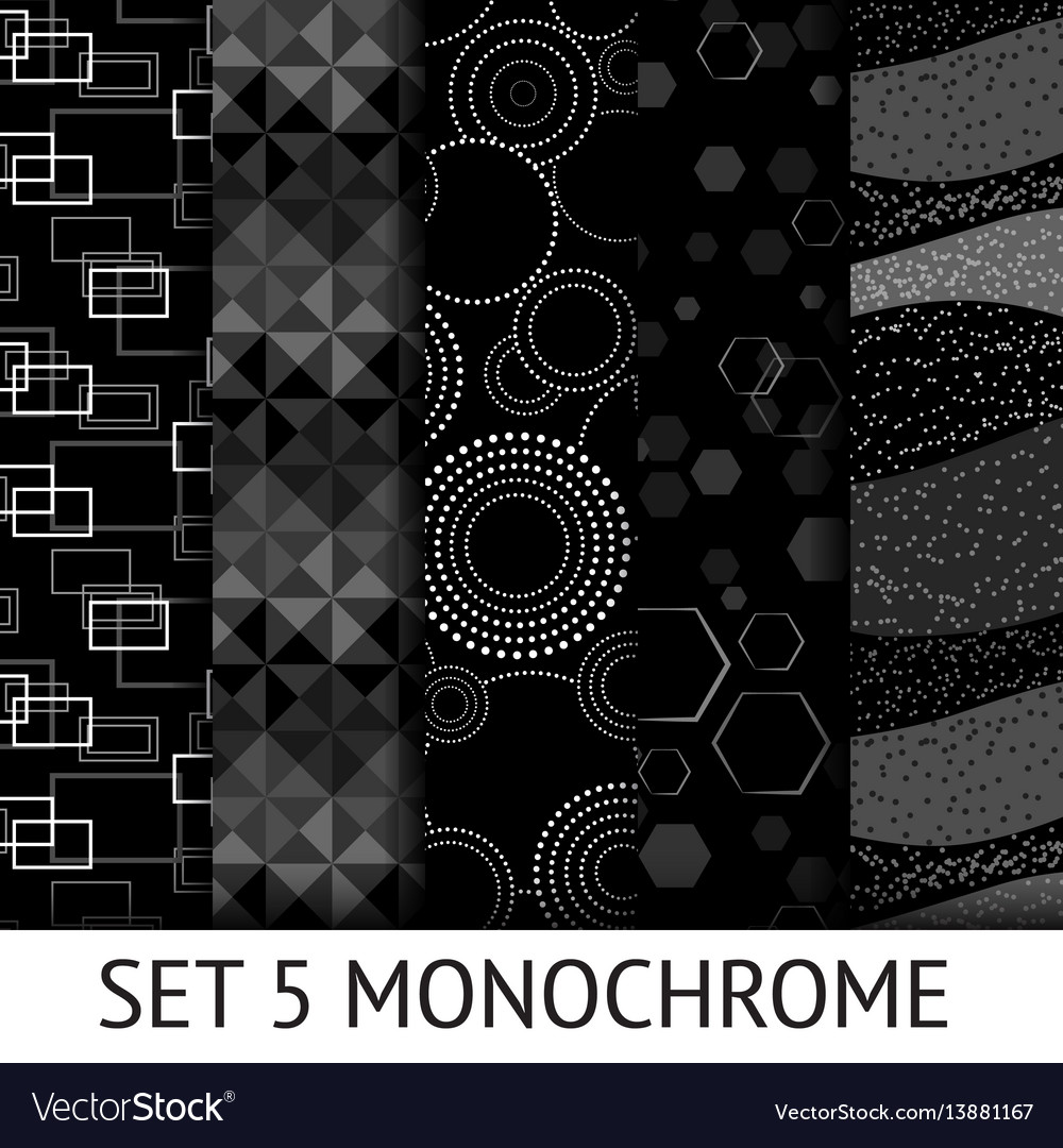 Set of 5 different monochrome seamless pattern Vector Image