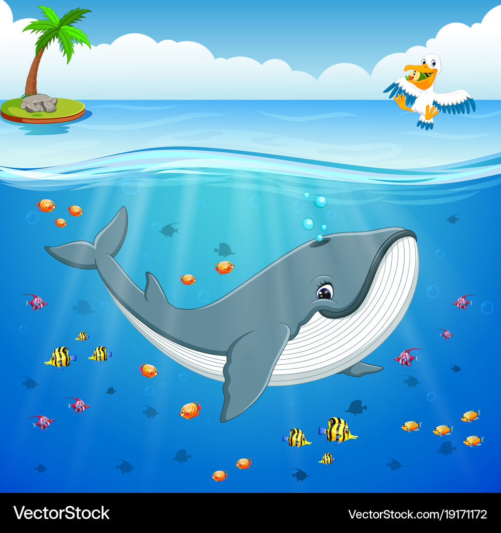 Cartoon whale under sea Royalty Free Vector Image