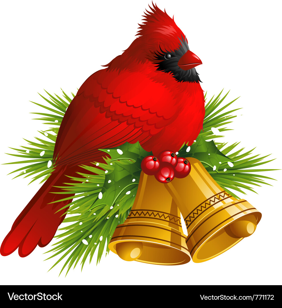Christmas bird Royalty Free Vector Image - VectorStock