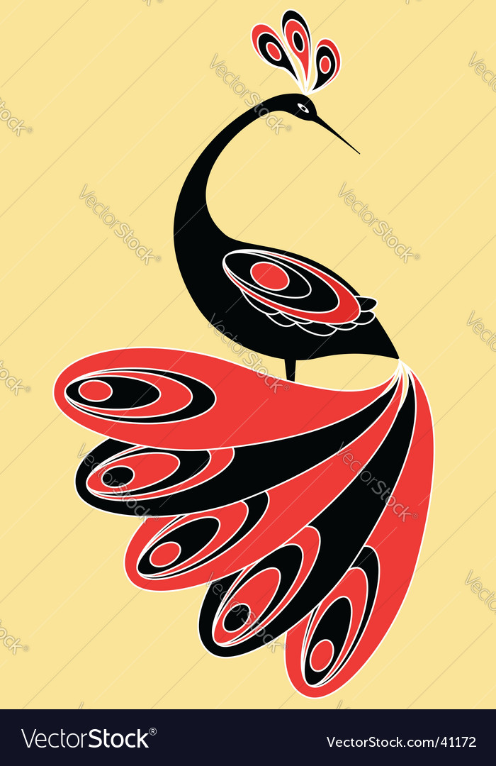 Magic peacock Royalty Free Vector Image - VectorStock