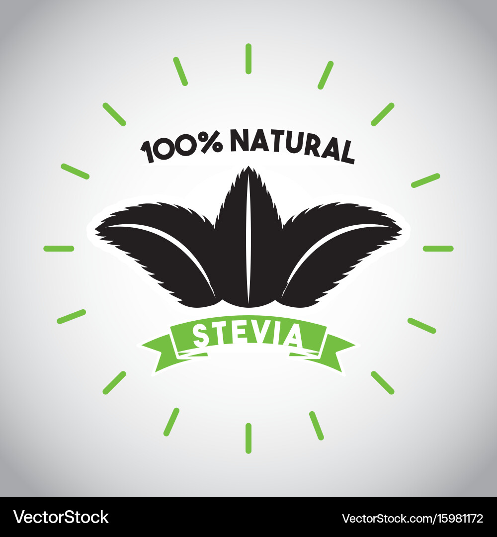 Stevia natural sweetener Royalty Free Vector Image