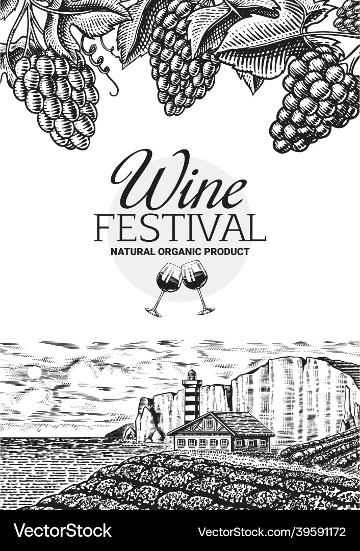 Wine poster or vineyard banner sparkling Vector Image