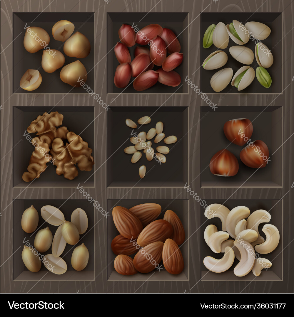 Set different nuts Royalty Free Vector Image - VectorStock