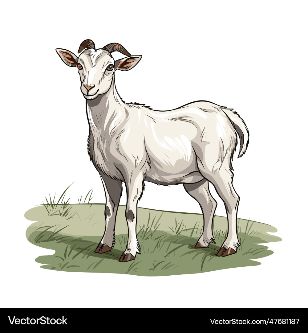 Goat hand-drawn doodle style cartoon Royalty Free Vector
