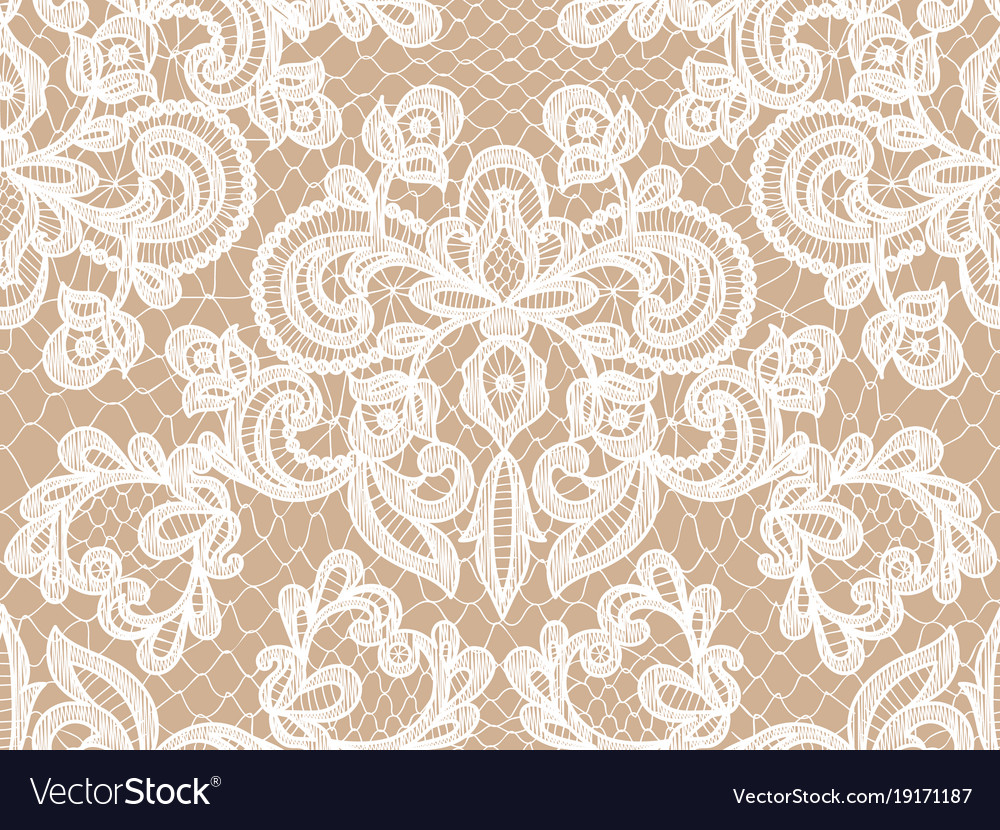 Seamless white lace Royalty Free Vector Image - VectorStock