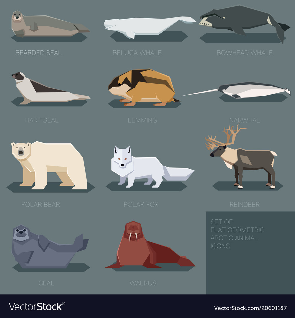 Set of flat geometric animals of arctic Royalty Free Vector