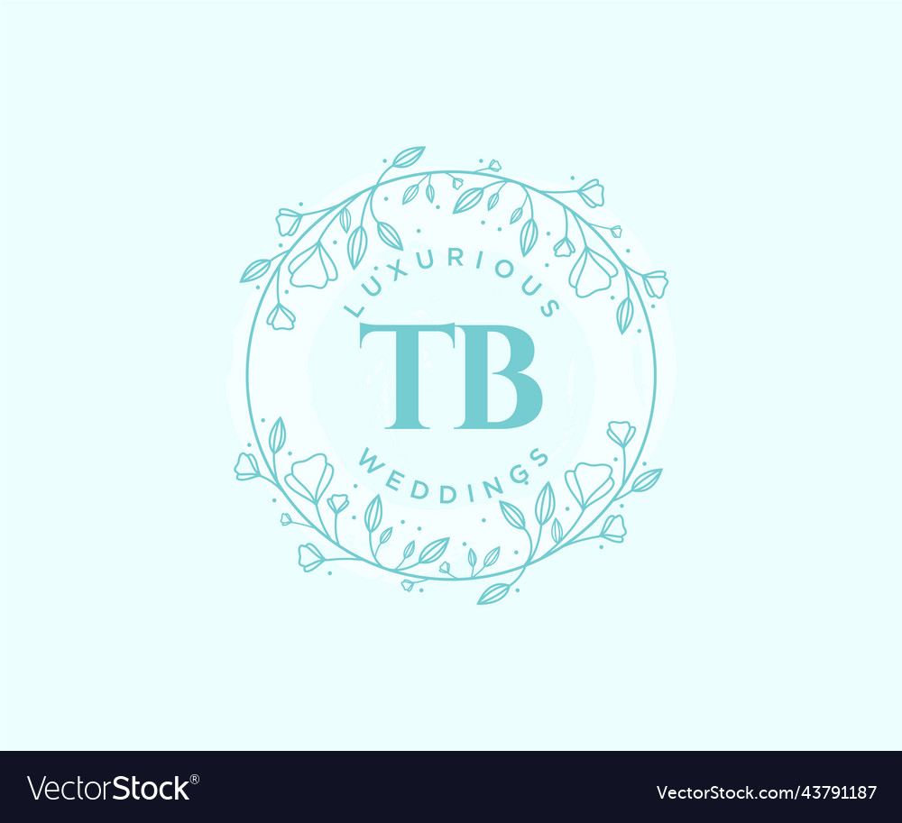 Tb initials letter wedding monogram logos Vector Image