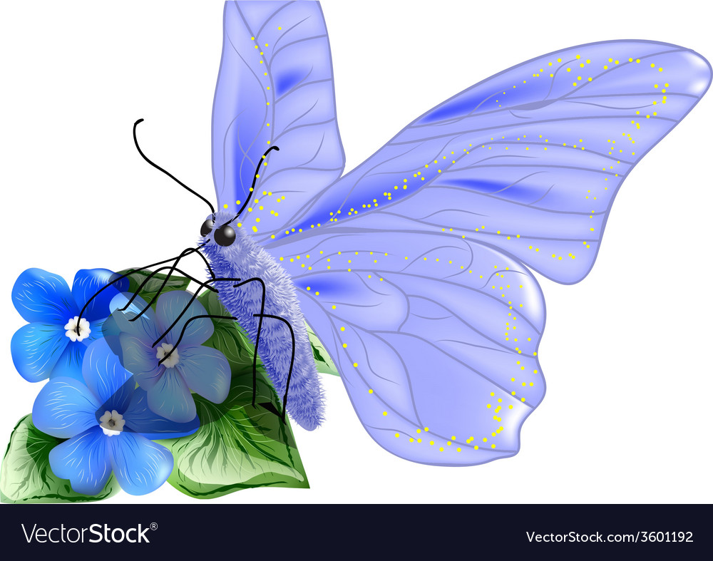 Butterfly pollen Royalty Free Vector Image - VectorStock Butterfly pollen Royalty Free Vector Image - VectorStock