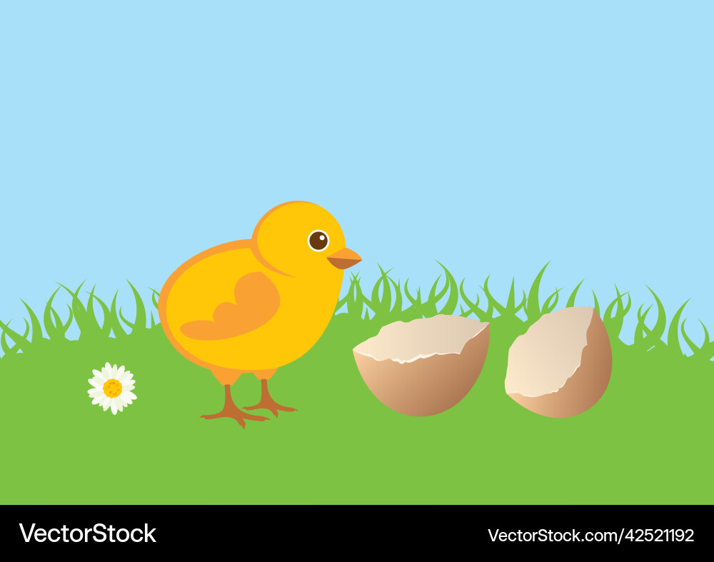Easter baby chick flower meadow spring icon Vector Image
