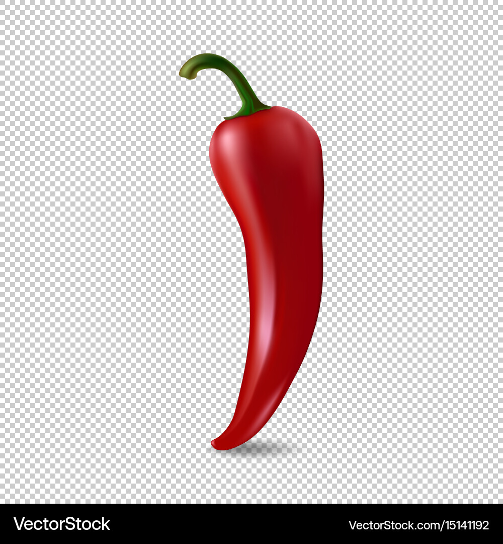 Realistic red chilli pepper icon isolated Vector Image