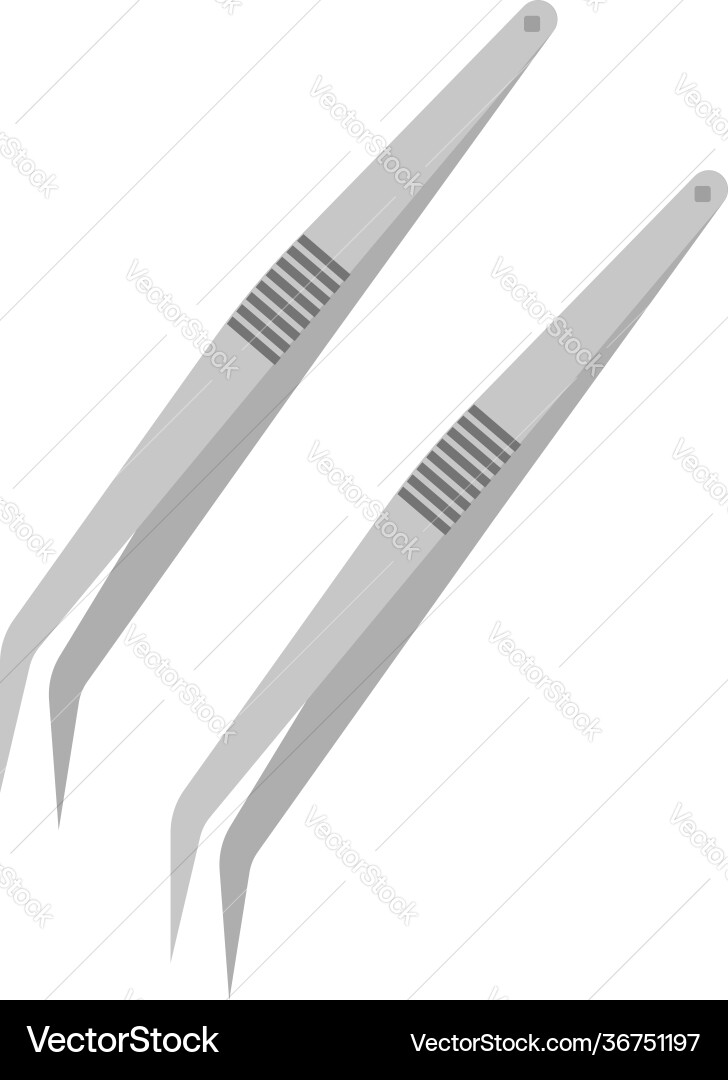 Grey tweezers on white background Royalty Free Vector Image