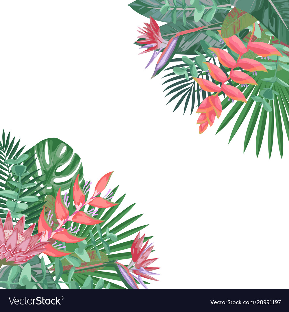 Tropical flower angular background Royalty Free Vector Image