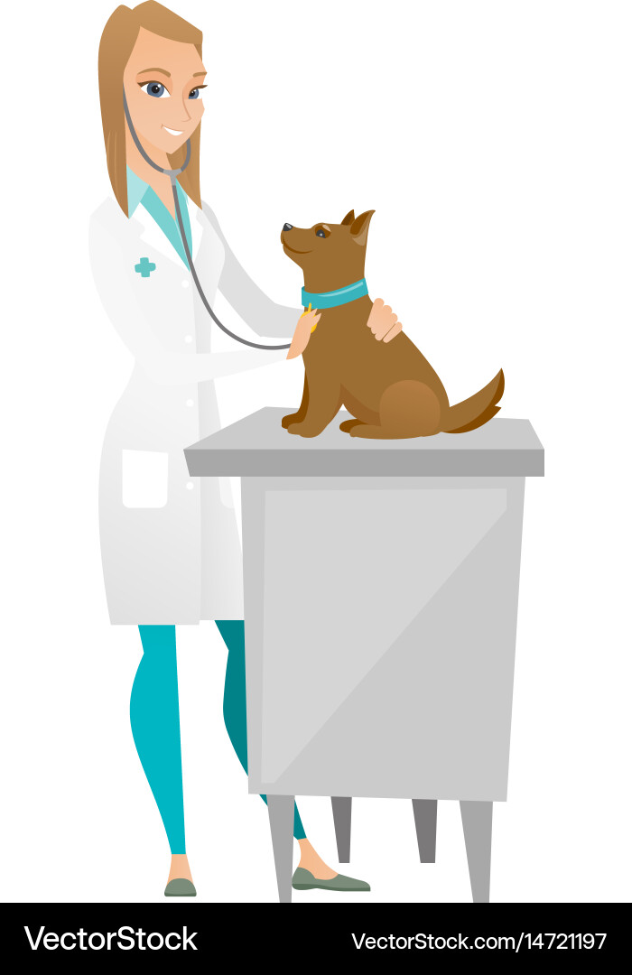 Veterinarian examining dog Royalty Free Vector Image
