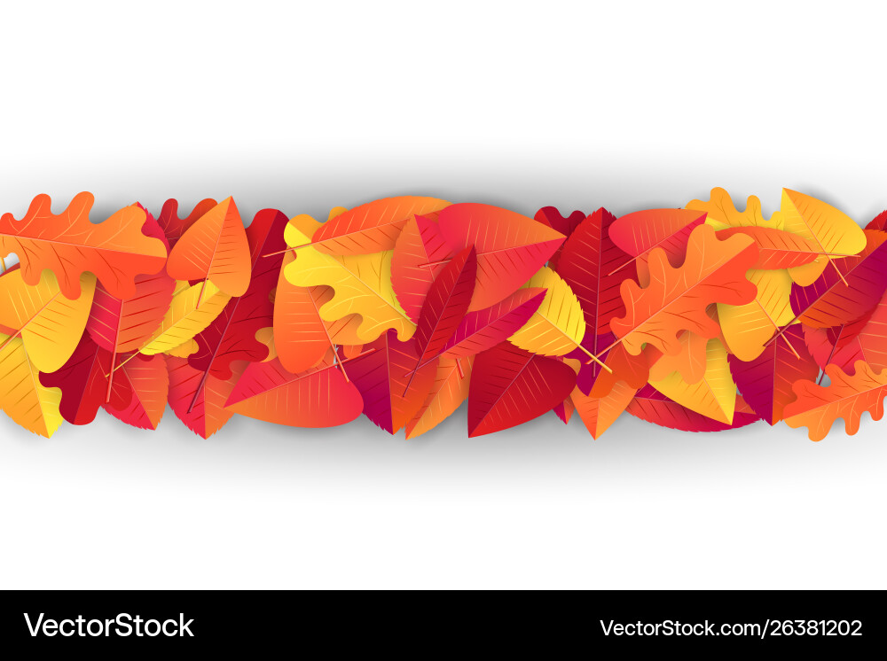 Autumn leaves divider strip realistic Royalty Free Vector