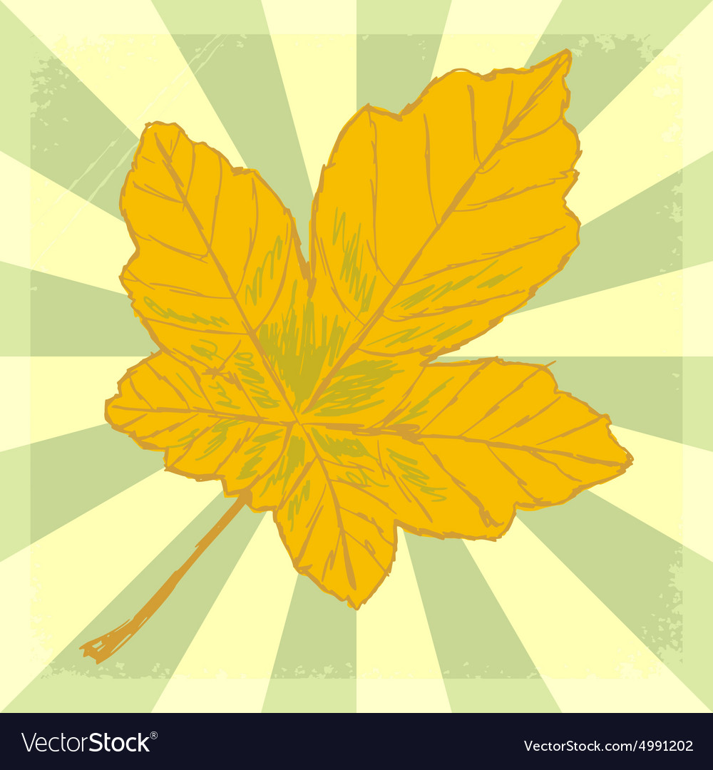 Yellow leaf Royalty Free Vector Image - VectorStock
