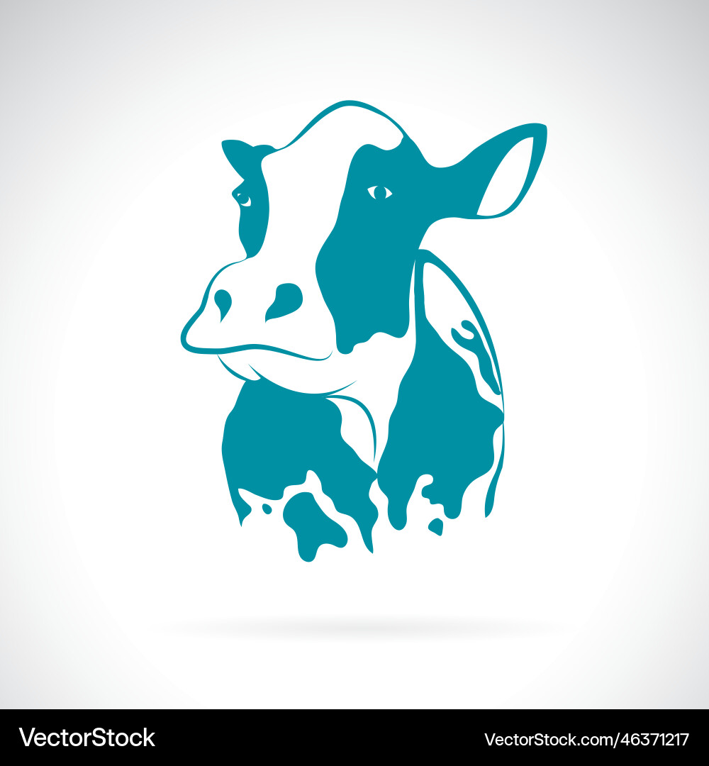 A cow design on white background farm animals Vector Image