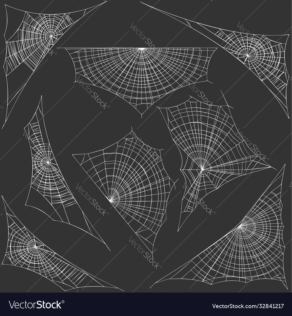 Set spider webs Royalty Free Vector Image - VectorStock