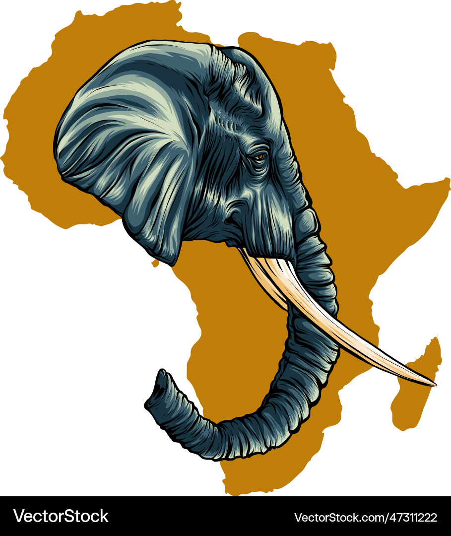 Colored of an african elephant Royalty Free Vector Image
