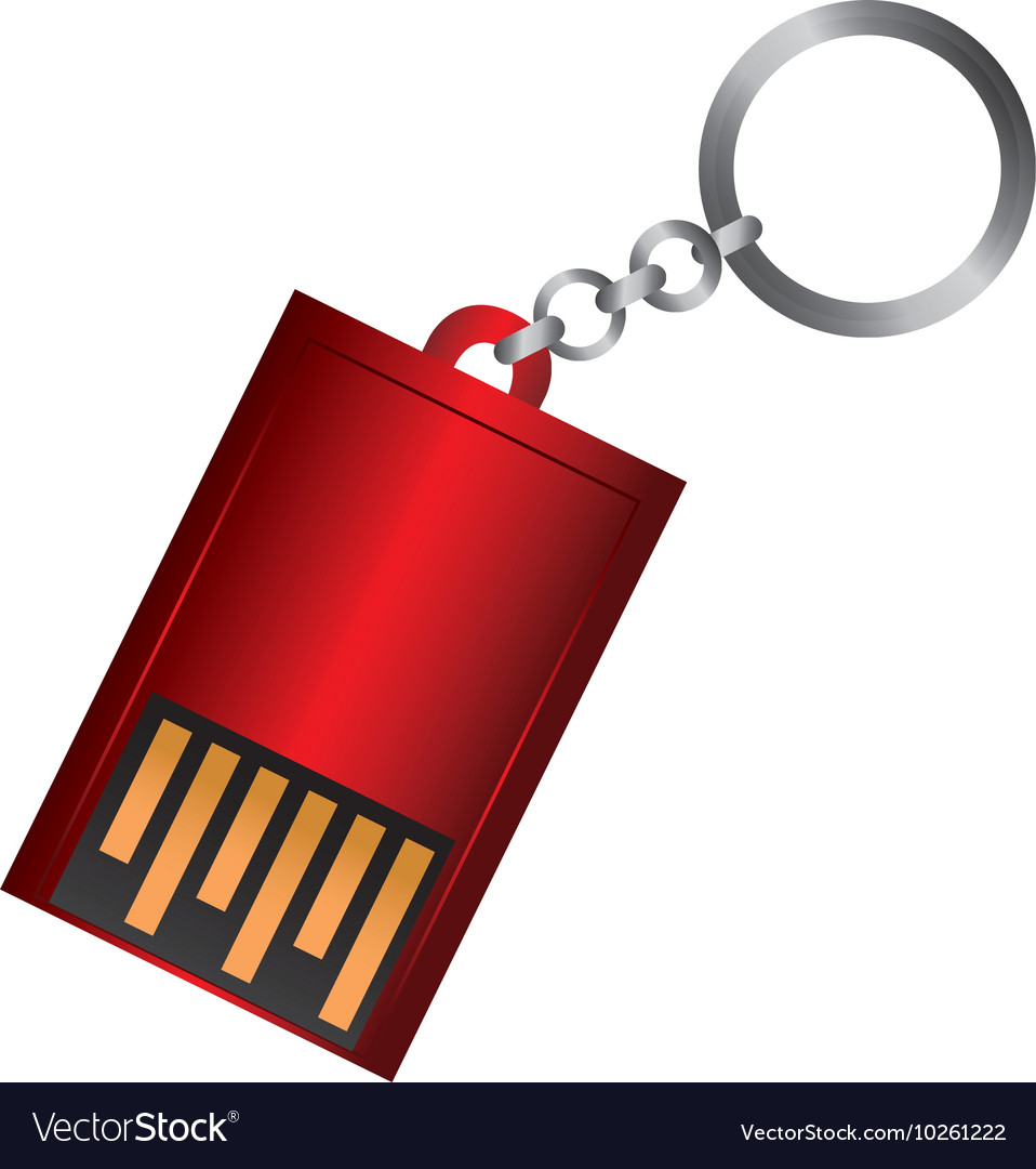Usb disk device data keychain Royalty Free Vector Image