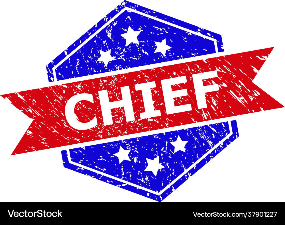 Hexagon bicolor chief rubber stamp with unclean Vector Image