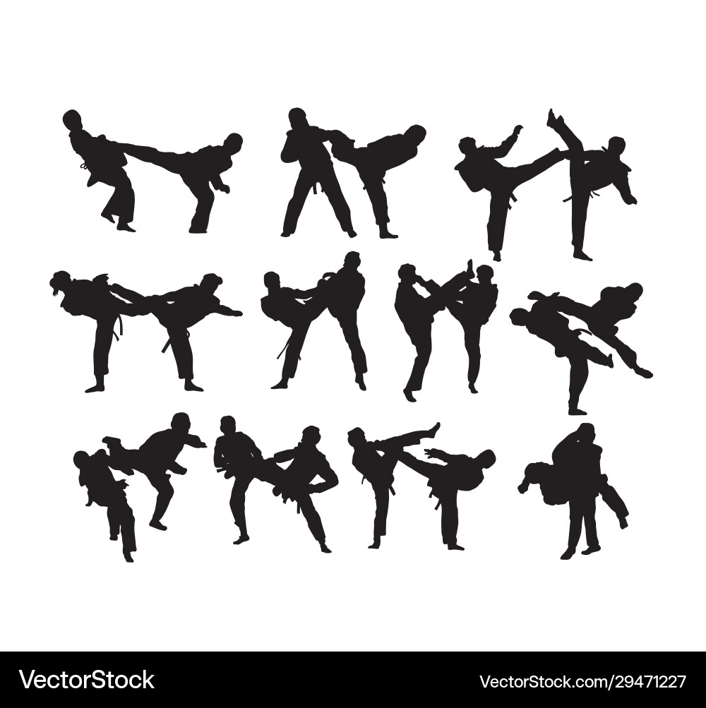 Taekwondo sport activity Royalty Free Vector Image